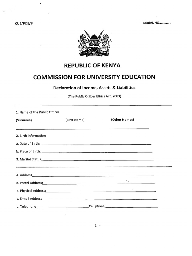 Wealth Declaration Form | PDF