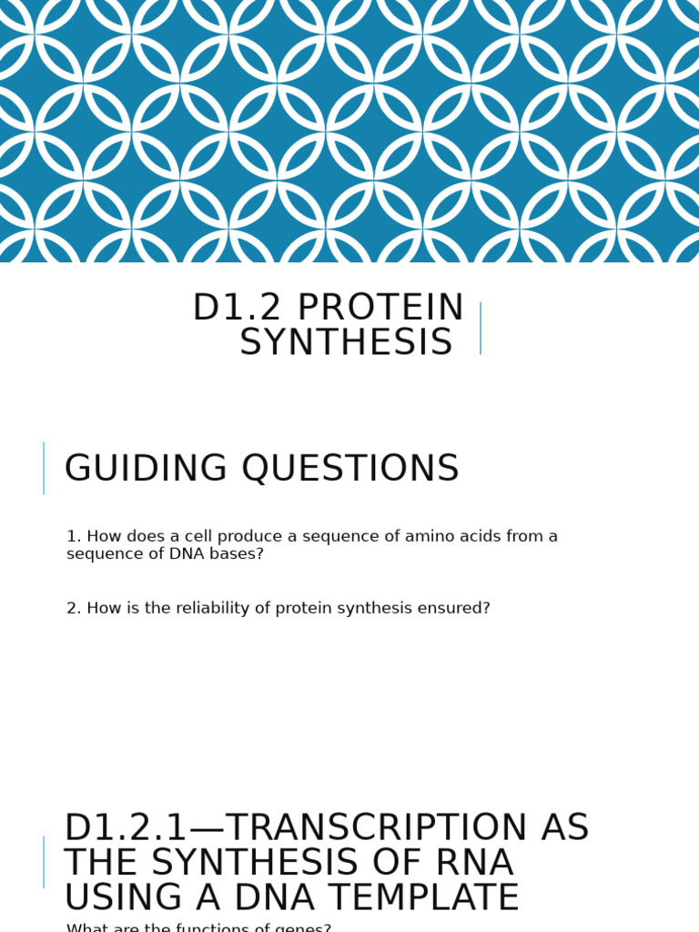 Understanding Protein Synthesis Process | PDF | Sense (Molecular ...