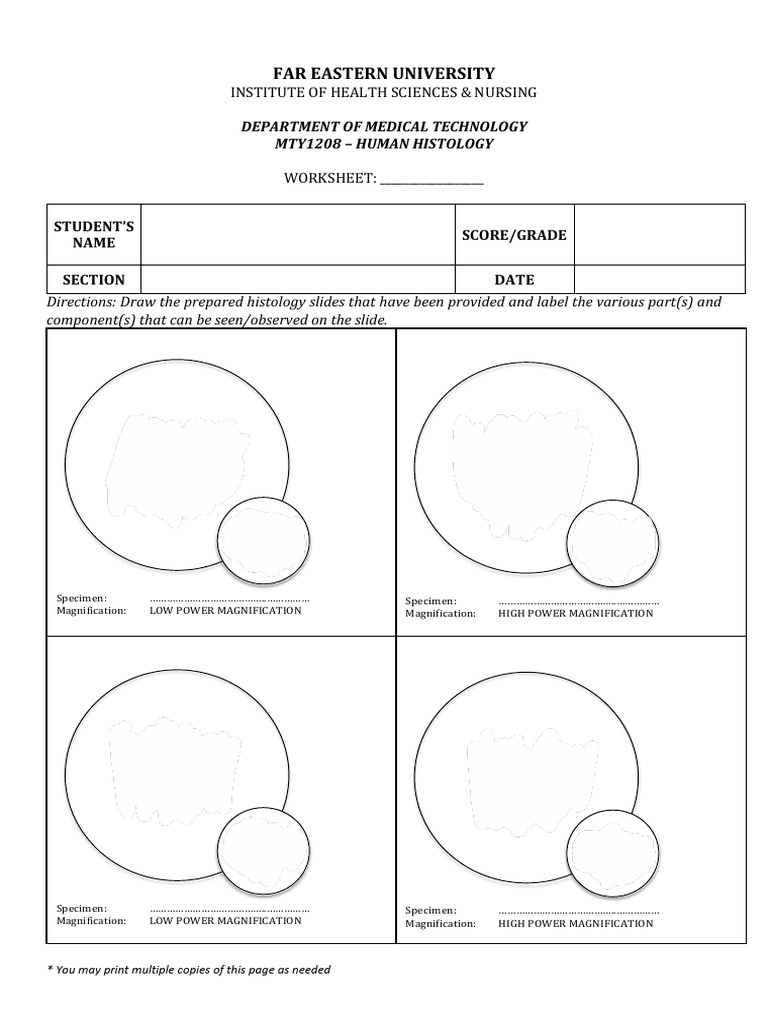 Histology Worksheet 1 | PDF