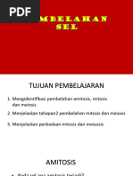 Modul Ajar XI Pembelahan Amitosis | PDF