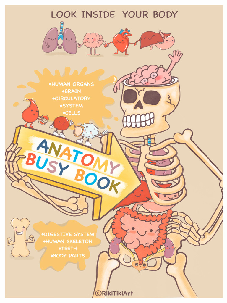 A4 Human Anatomy Busy Book | PDF