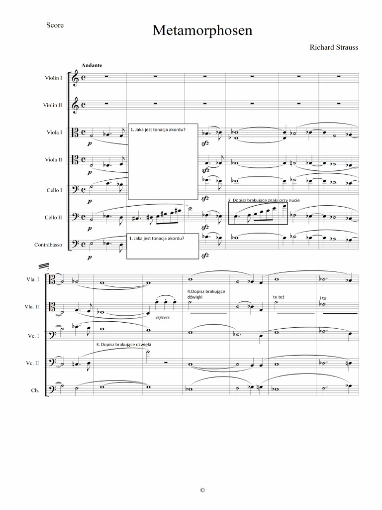 Arkusz Dla Klasy VI | PDF