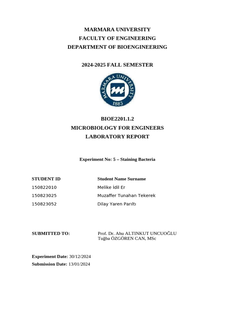 BIOE2201_Exp6_MelikeİdilEr_DYarenParıltı_MTunahanTekerek | PDF | Staining | Gram Positive Bacteria