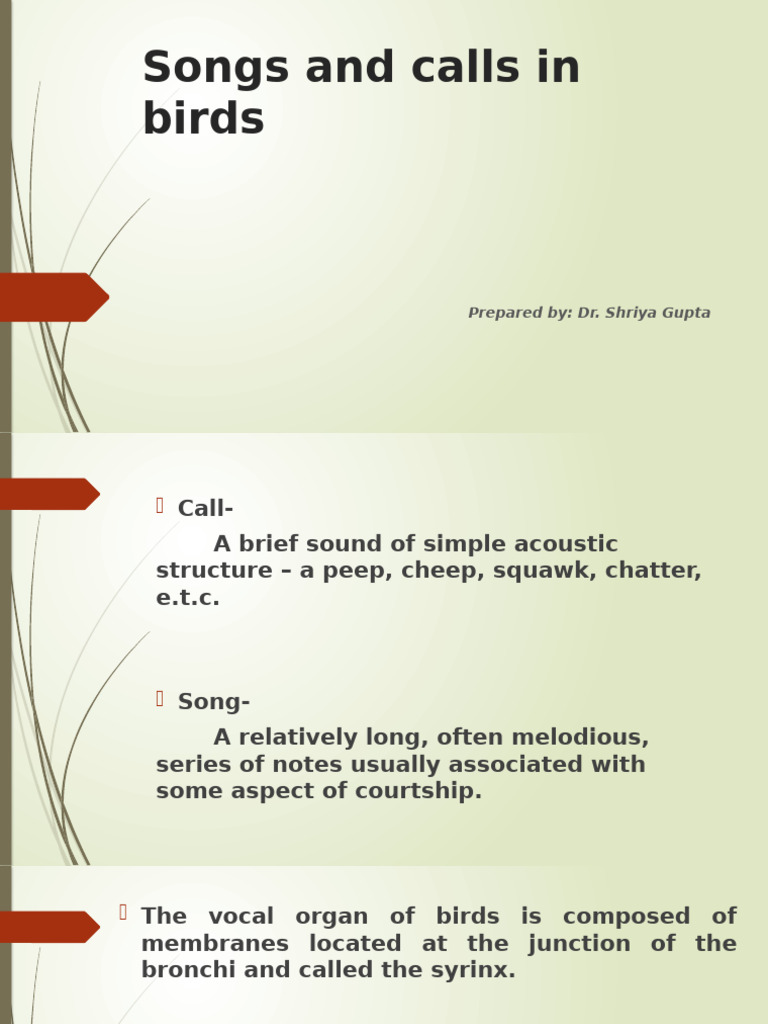 Understanding Bird Songs and Calls | PDF | Birds | Zoology