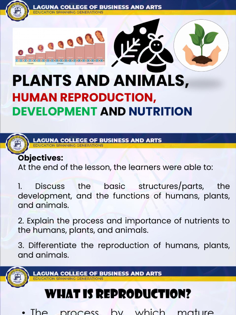 Lesson 1 - Plant and Animal Organ System Ad Their Functions | PDF ...
