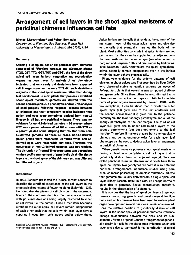 Cell Layer Arrangement in Chimeric Plants | PDF | Leaf | Flowers