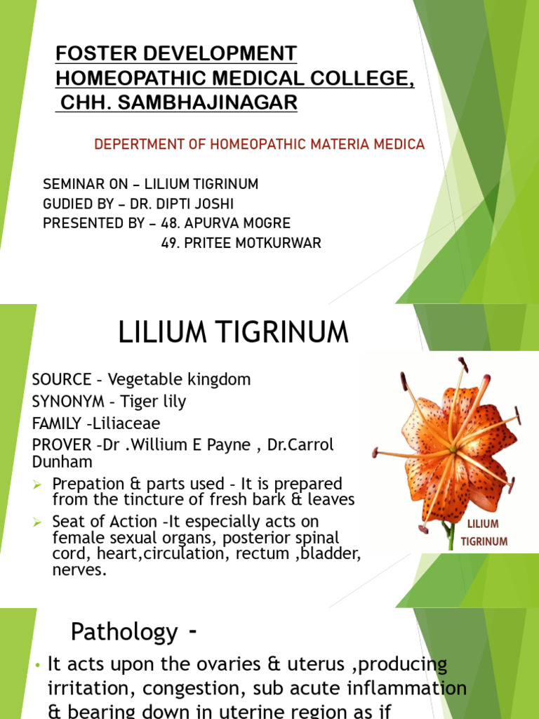 HMM ppt | PDF | Uterus | Clinical Medicine