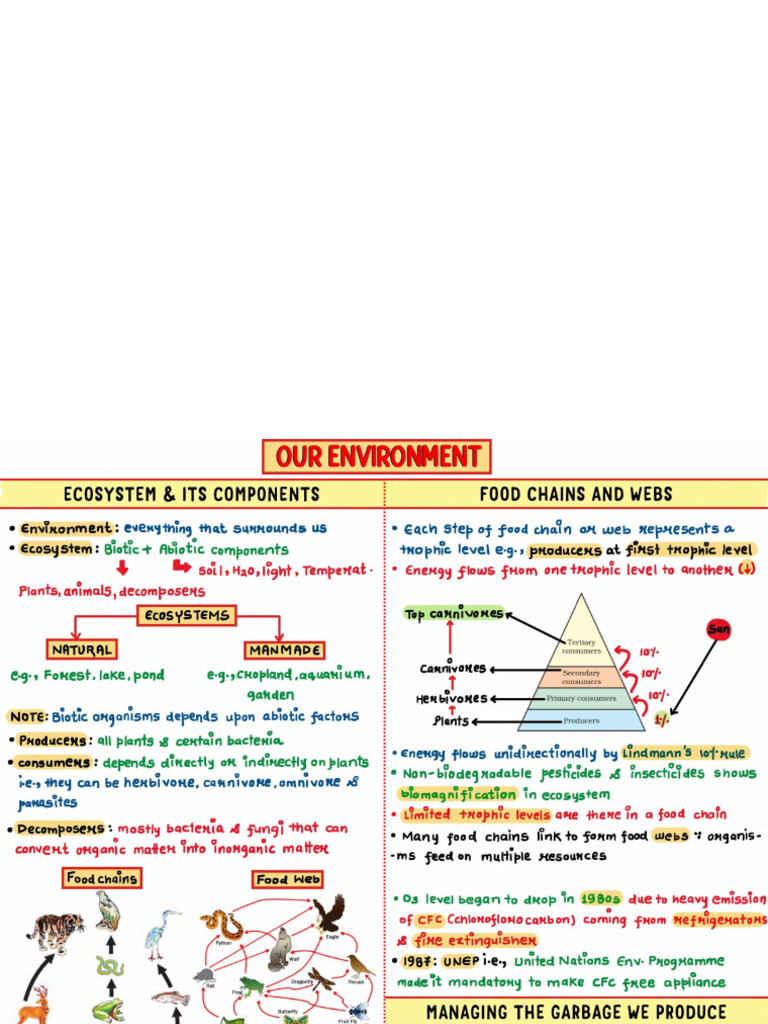 Our Environment Short Notes | PDF