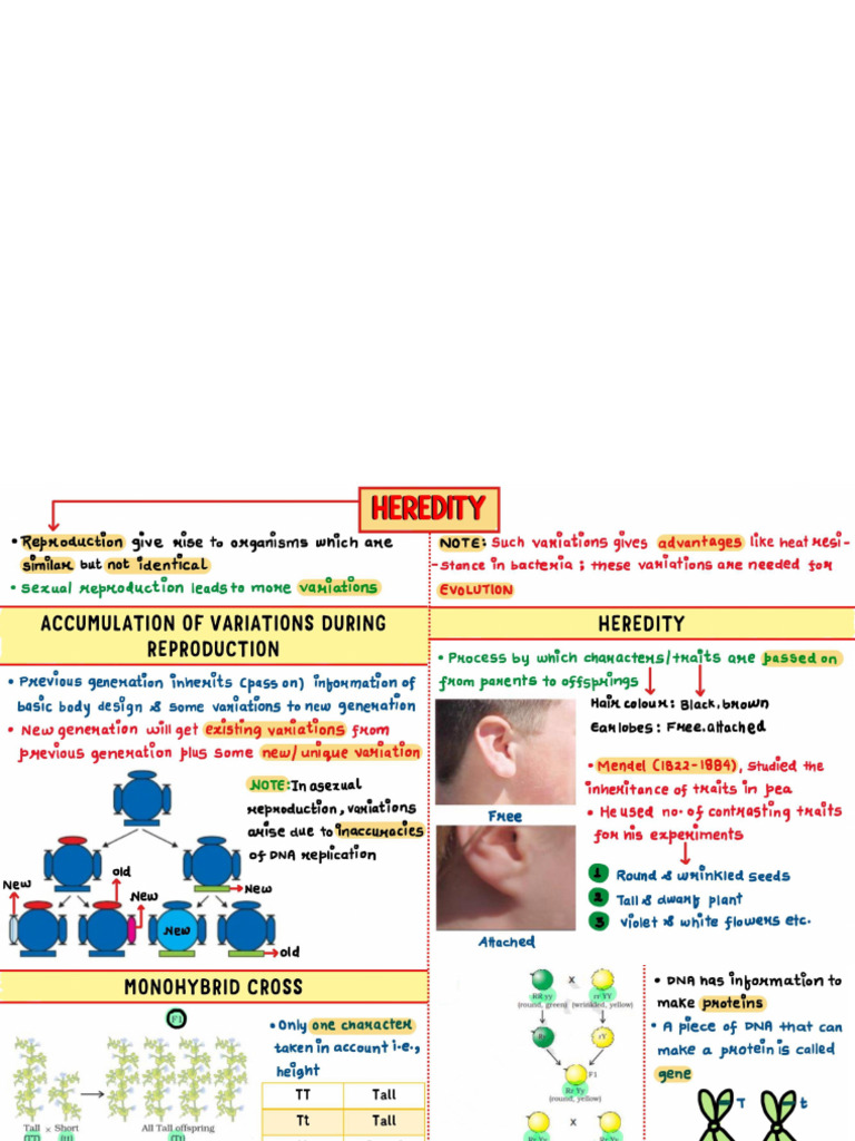 4. Heredity Short Notes | PDF