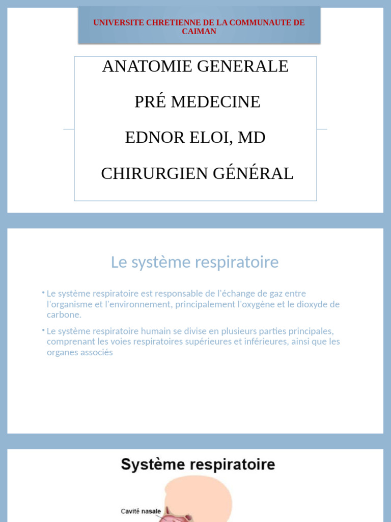 Anatomie du Système Respiratoire et Digestif | PDF | Poumon | Tractus ...