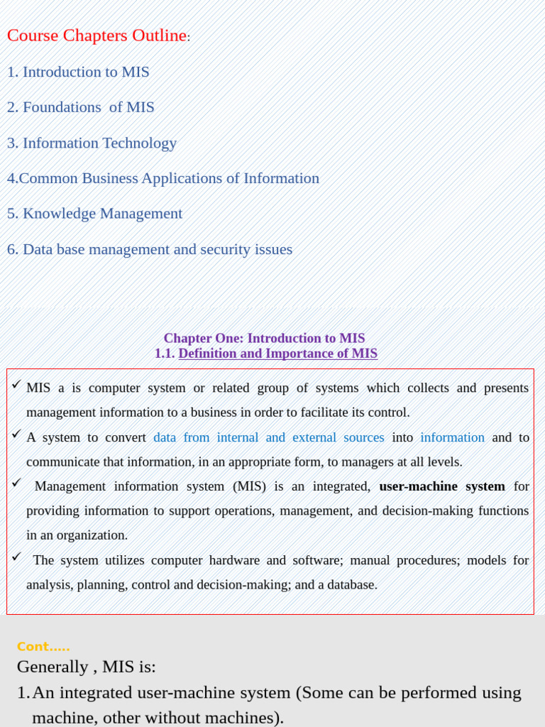 MIS PPT Designed For Exit Exam | PDF | Marketing | Databases