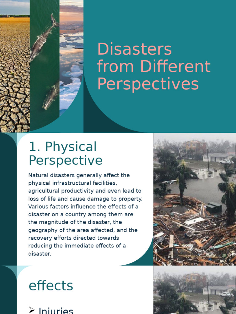 Disaster Impacts: A Multi-Perspective Analysis | PDF | Mental Health ...