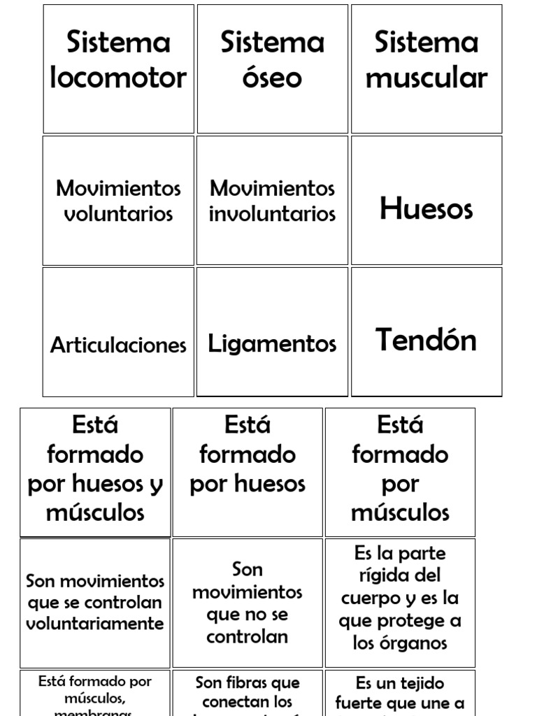 Repaso Marzo Pdf Músculo Hueso