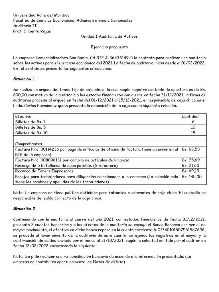 Enunciado Ejercicio Ejemplo Video Auditoria Activo | PDF | Auditoría | Economias
