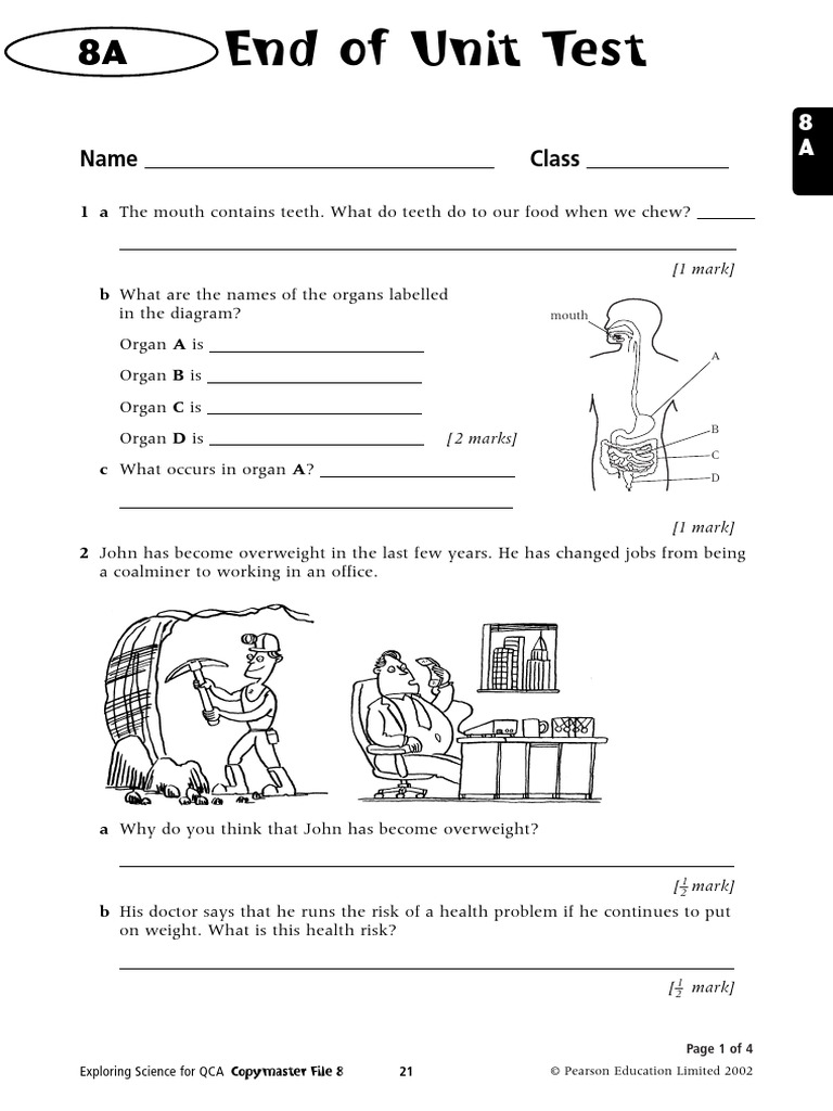 8a Food Digestion Test | PDF | Foods | Digestion