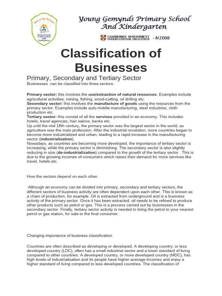BS Chapter 2 Classification of Businesses Notes. | PDF | Developing ...