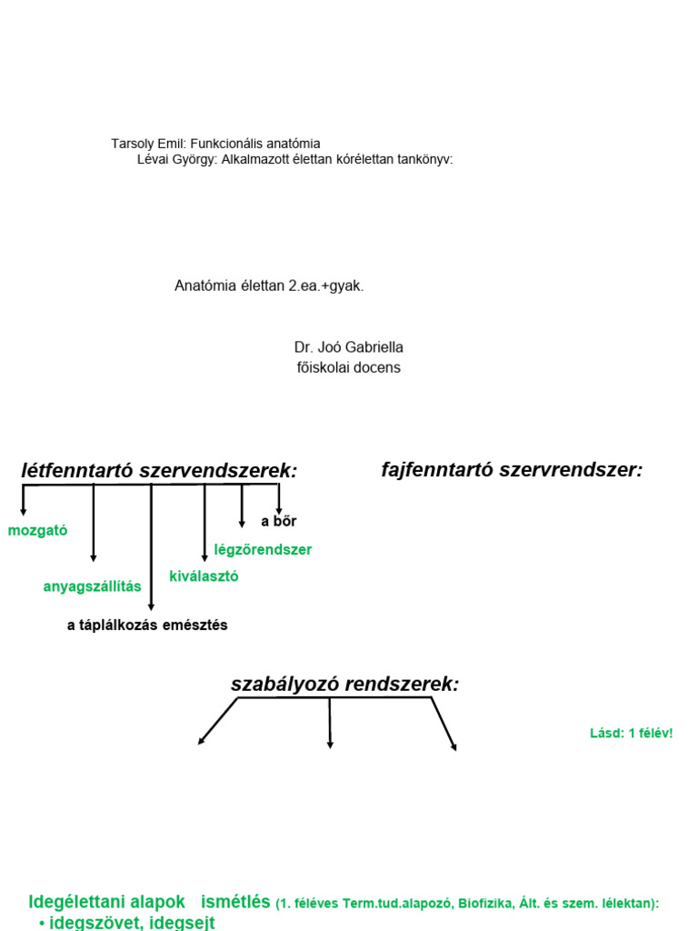 Idegélettani Alapok - Agykéreg - Agytörzs - Köztiagy - Középagy - 2024 ...