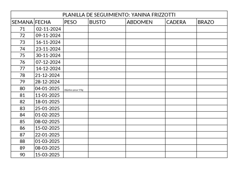 Planilla de Seguimiento | PDF