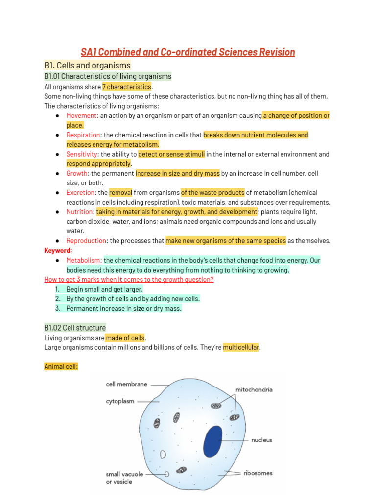 Computer Science SA1 Revision | PDF | Digestion | Leaf