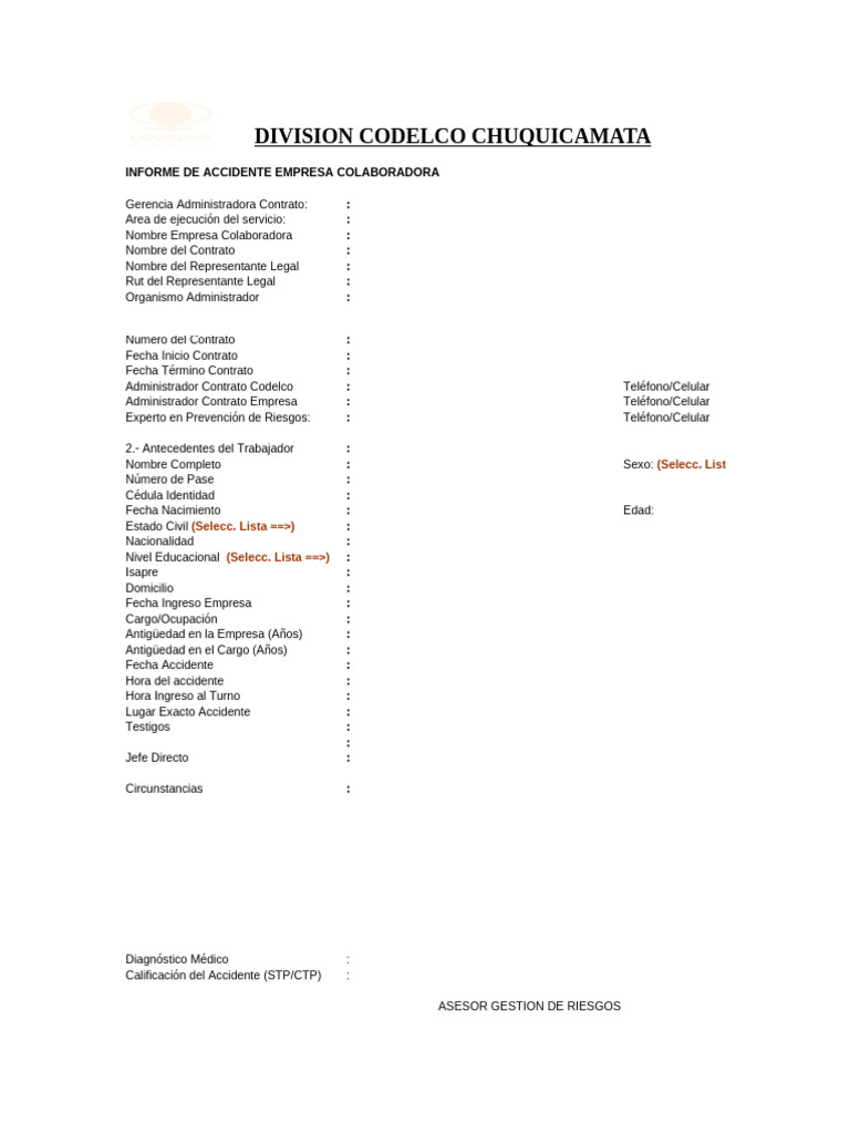 Formulario Informe Flash | PDF