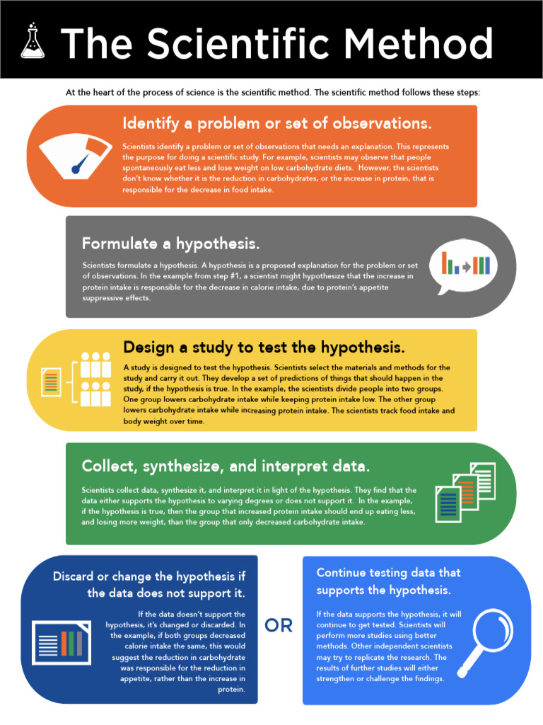 The Scientific Method Steps Explained | PDF | Hypothesis | Scientific Method