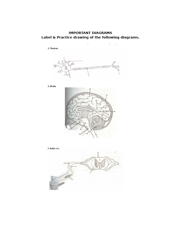 Imp. Diagrams - Class X | PDF