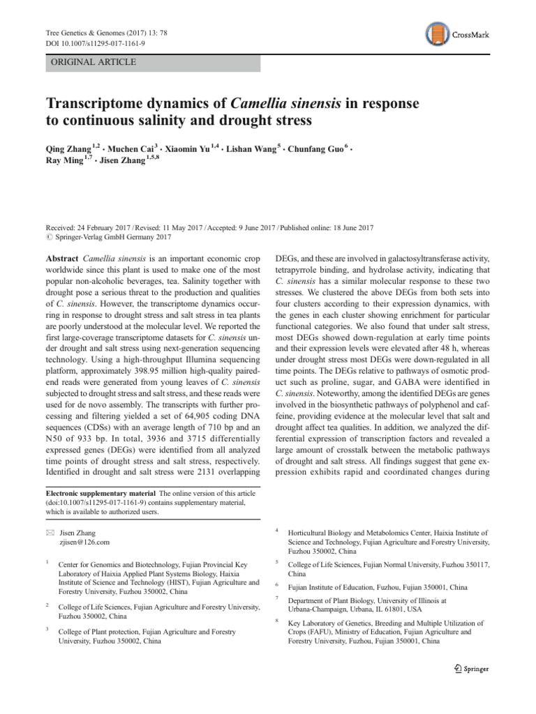 Transcriptome Dynamics of Camellia Sinensis in Response To Continuous ...