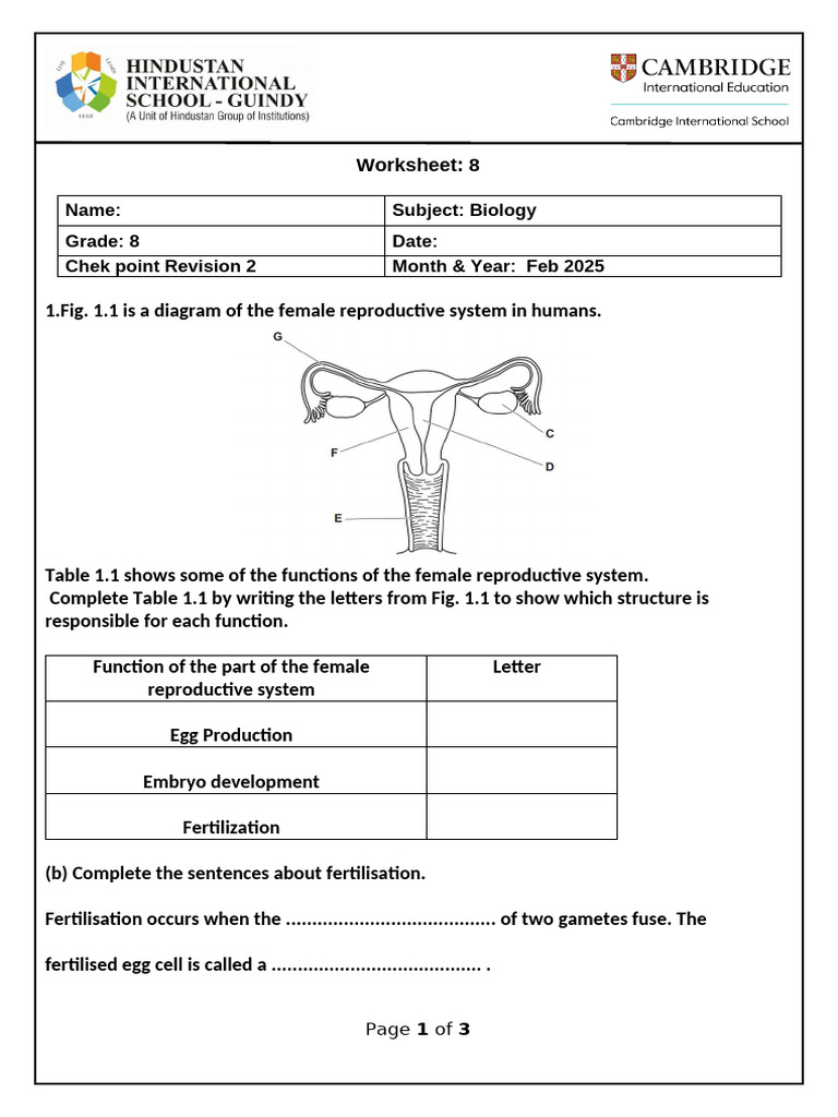 Grade 8 Biology Worksheet on Reproduction | PDF | Fertilisation ...