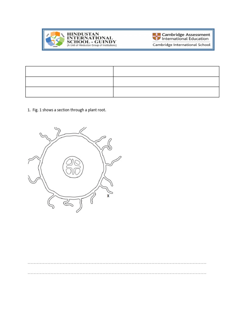Fa2 Bio Worksheet | PDF