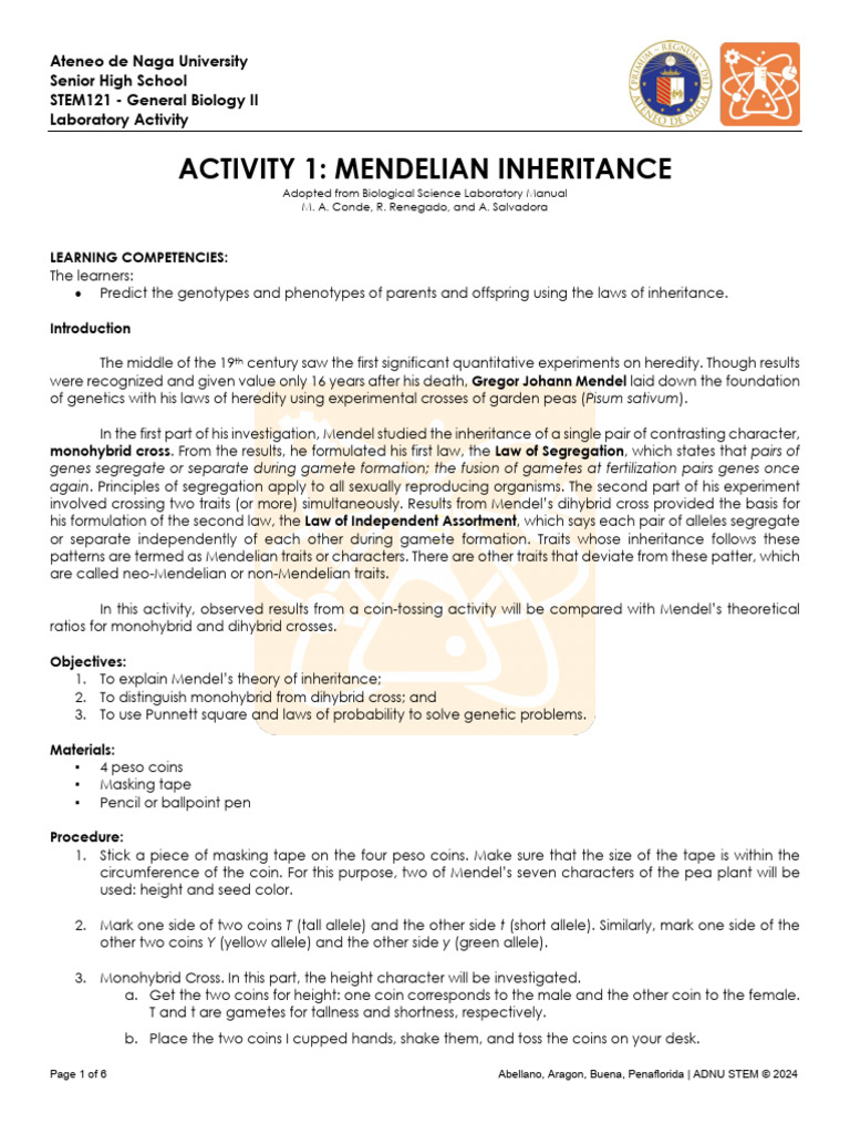 Mendelian Inheritance Lab Activity | PDF | Genotype | Heredity