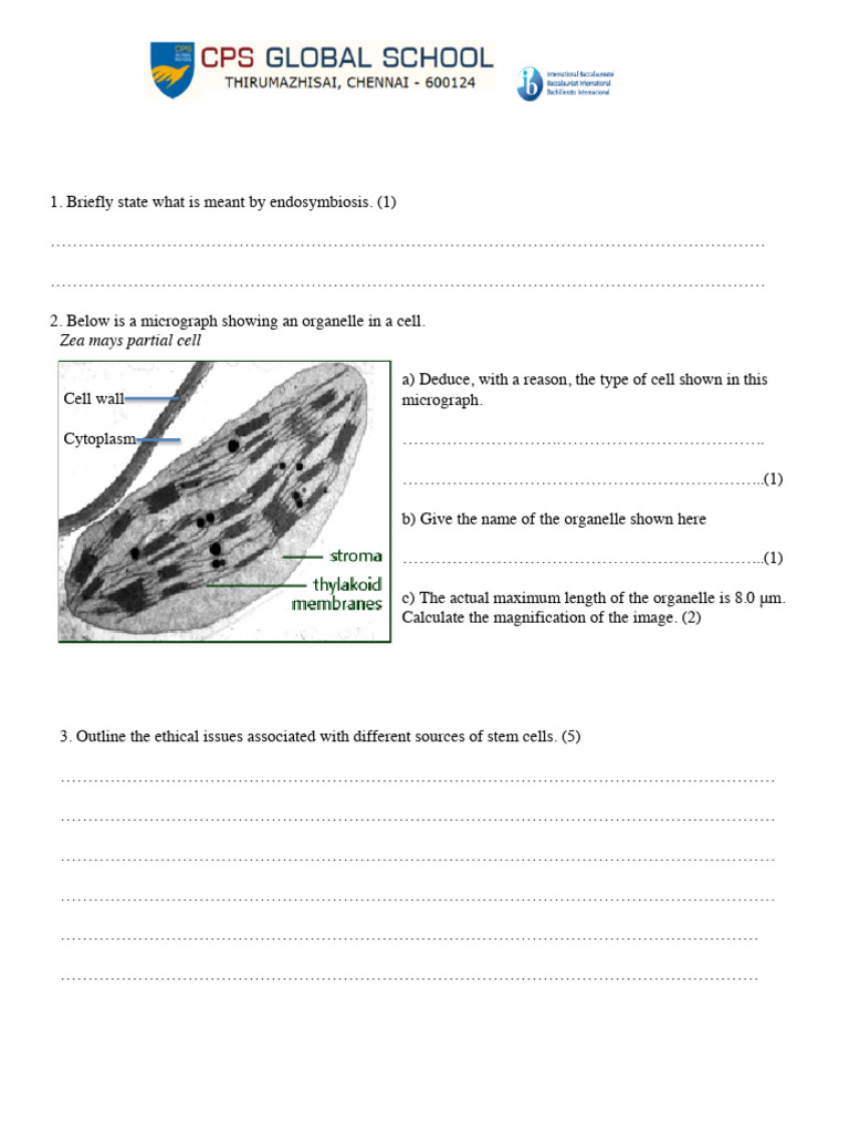 IB HL Biology Cell Quiz Practice | PDF | Cell (Biology) | Biology