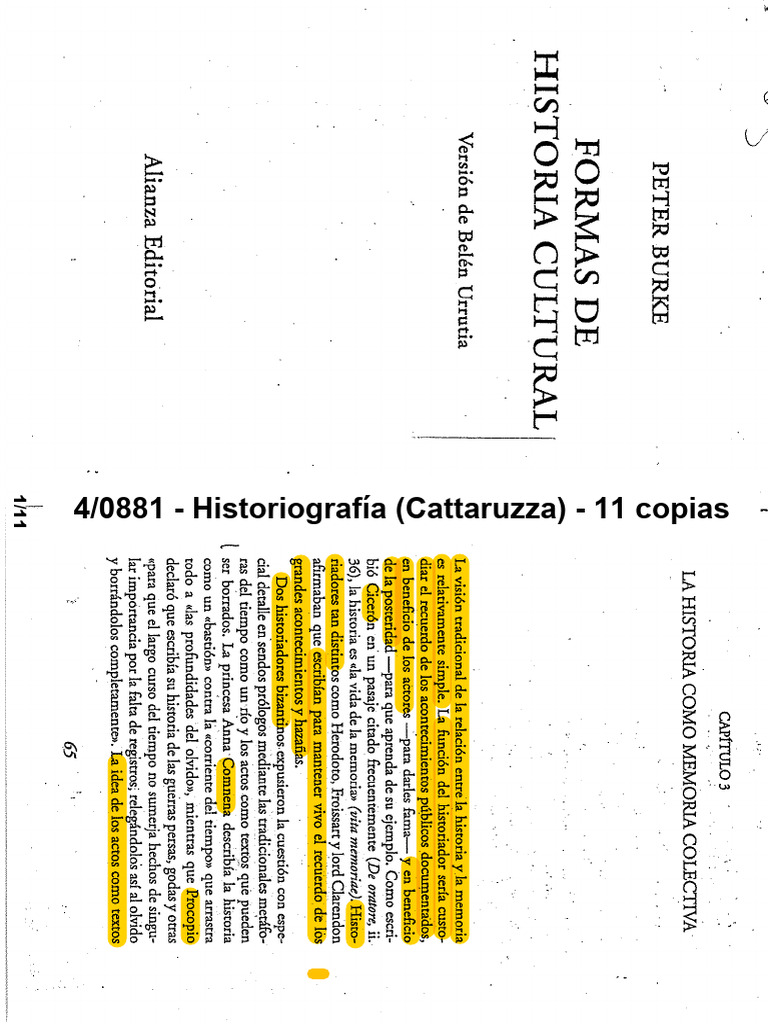 Historiografía de Cattaruzza | PDF