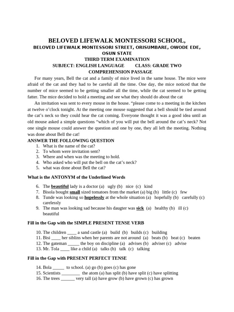 GRADE TWO ENGLISH | PDF | Mouse | Grammatical Tense