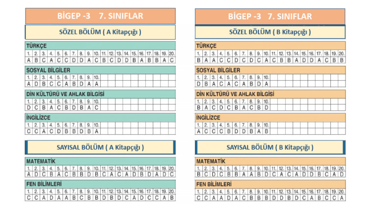 Bi̇gep-3 7. Siniflar | PDF
