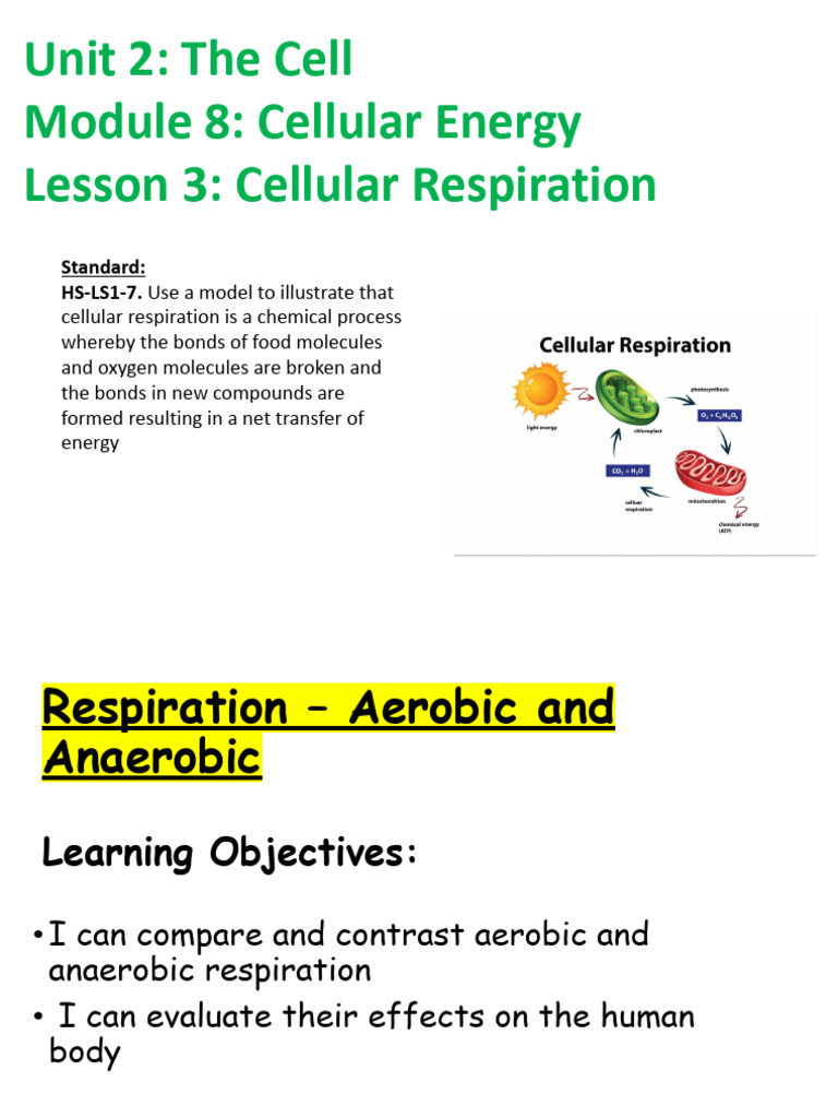 Aerobic vs Anaerobic Respiration Explained | PDF | Cellular Respiration ...