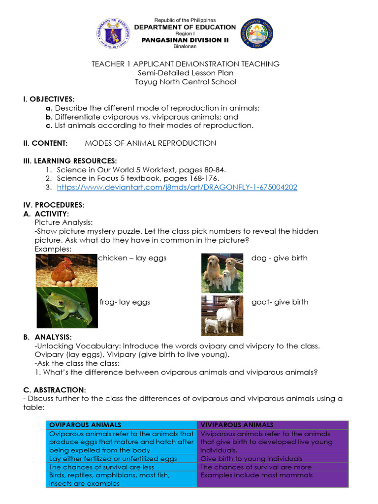 Modes of Animal Reproduction Lesson Plan | PDF | Egg | Zoology