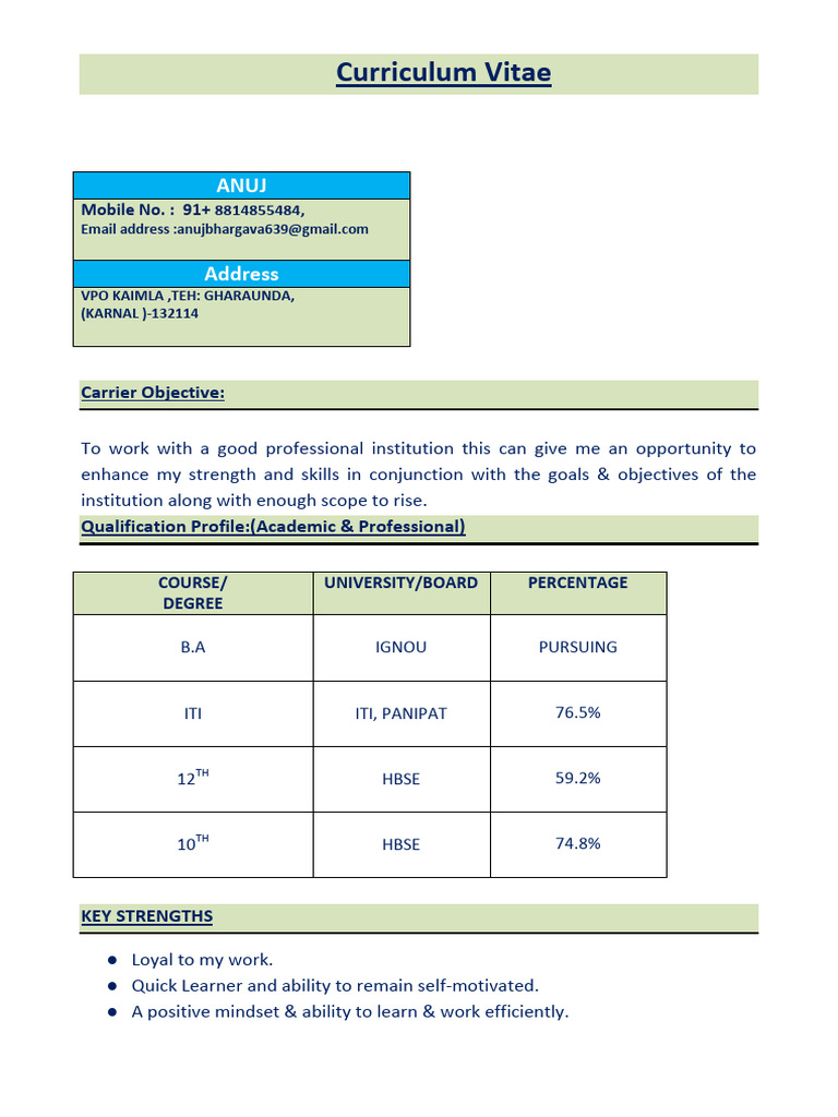 Curriculum Vitae: Carrier Objective | PDF