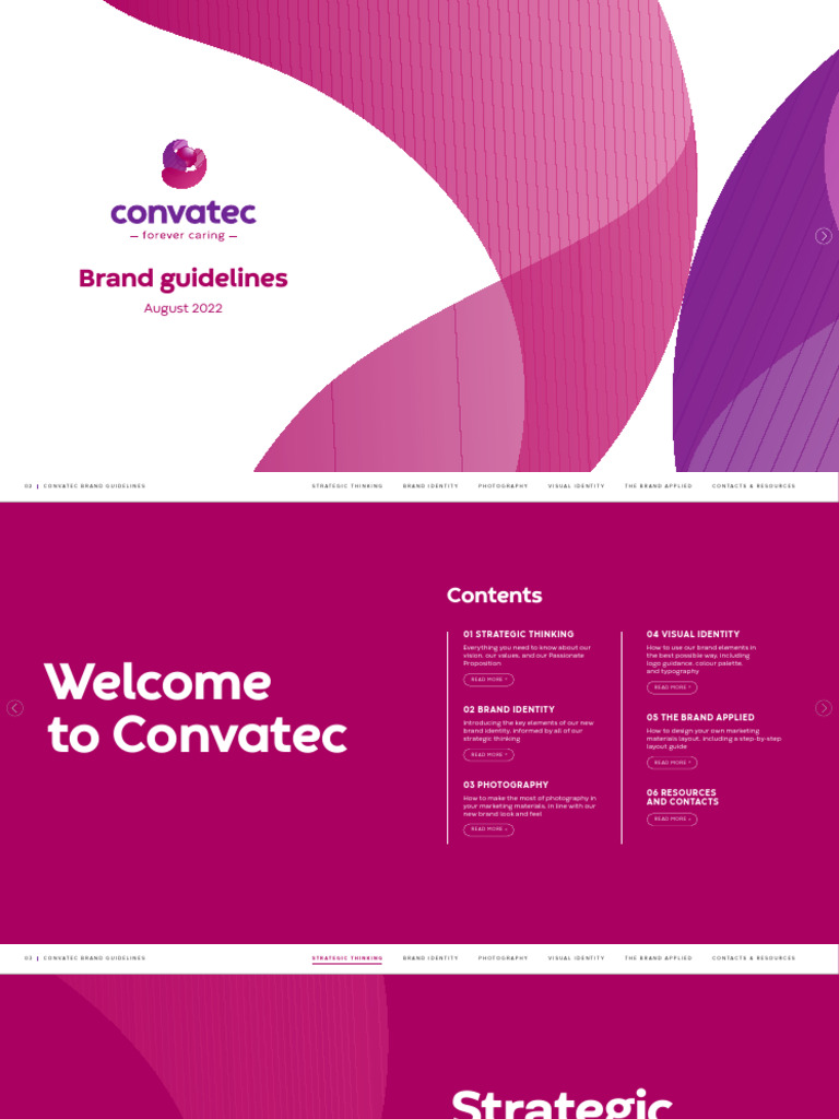 Convatec Masterbrand Guidelines 03 Aug AP 034602 MRL | PDF | Brand