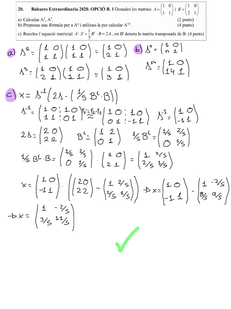 Matrix Operations and Inverses Explained | PDF