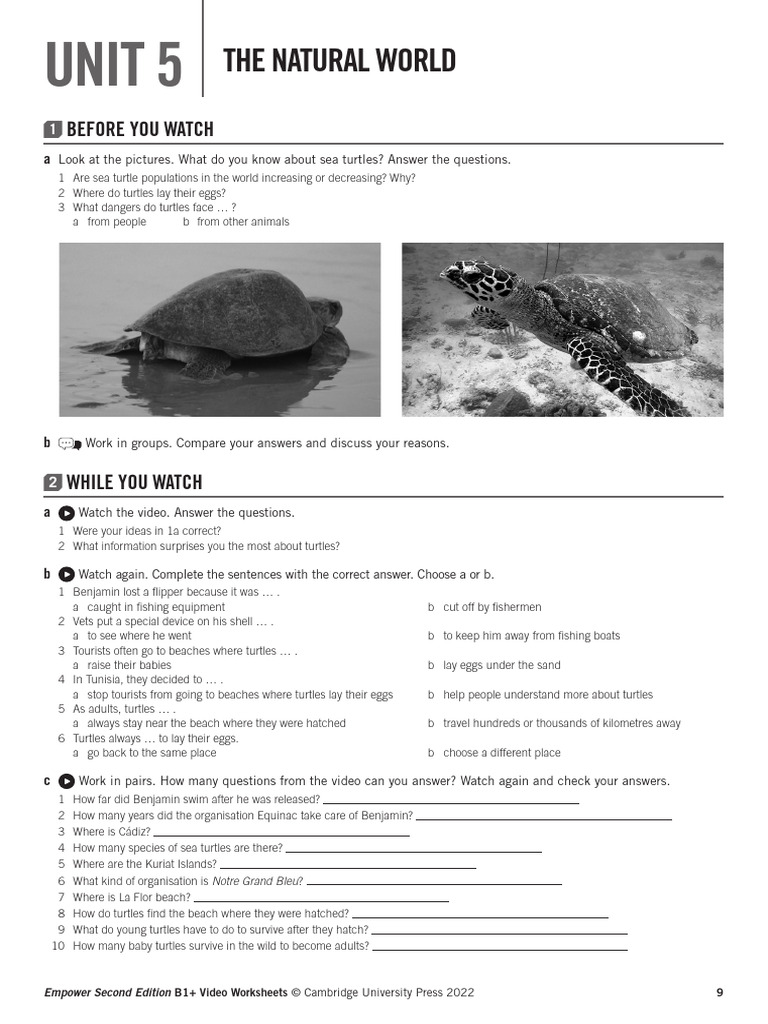 Empower Intermediate Video Activity Sheet Unit 05 | PDF | Turtle | Sea ...