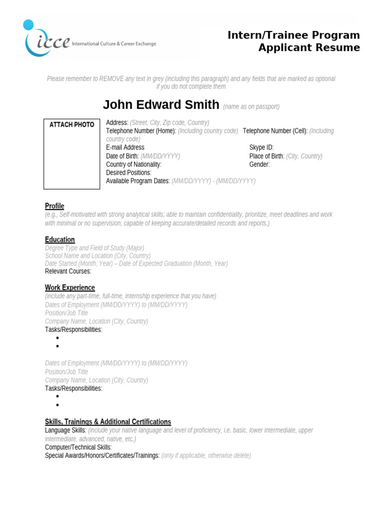 ICCE IT Resume Template | PDF