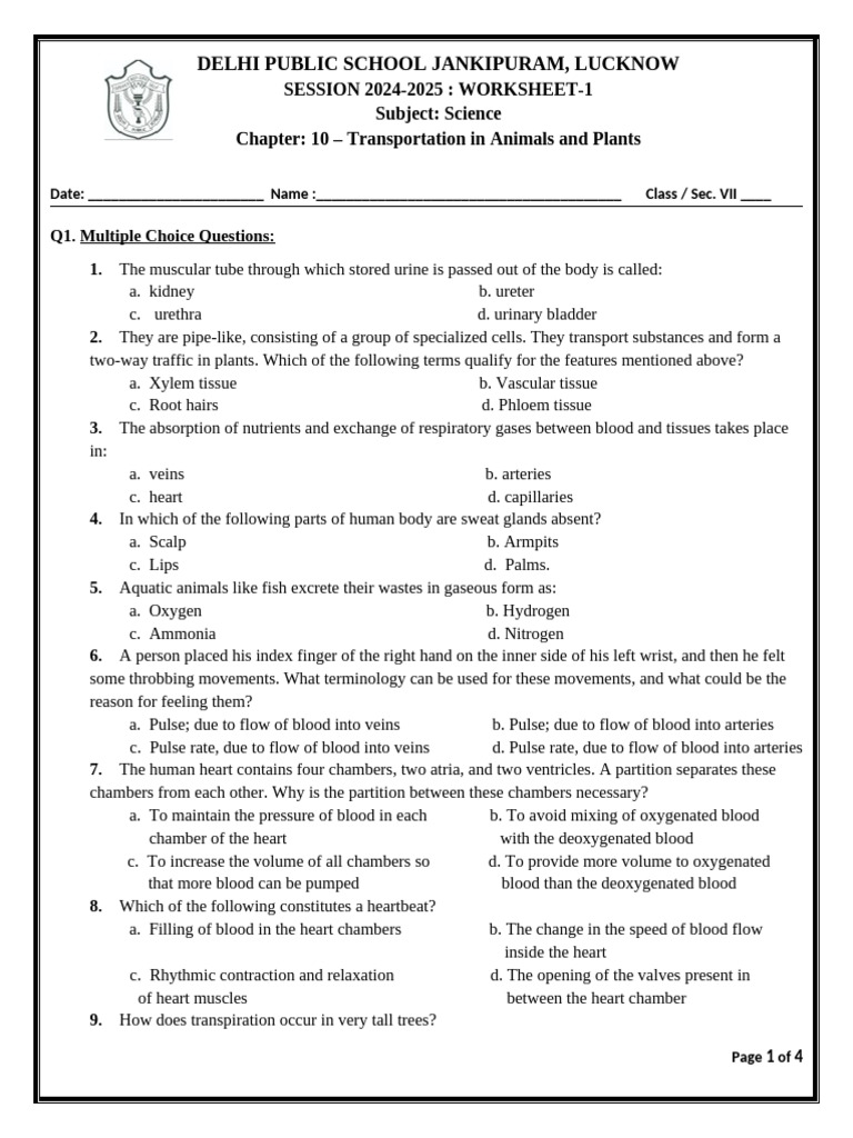 Transportation in Plants and Animals (Class 7) | PDF | Urinary System | Blood