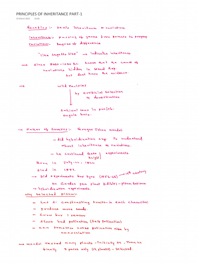 Principles of Inheritance Part-1 | PDF