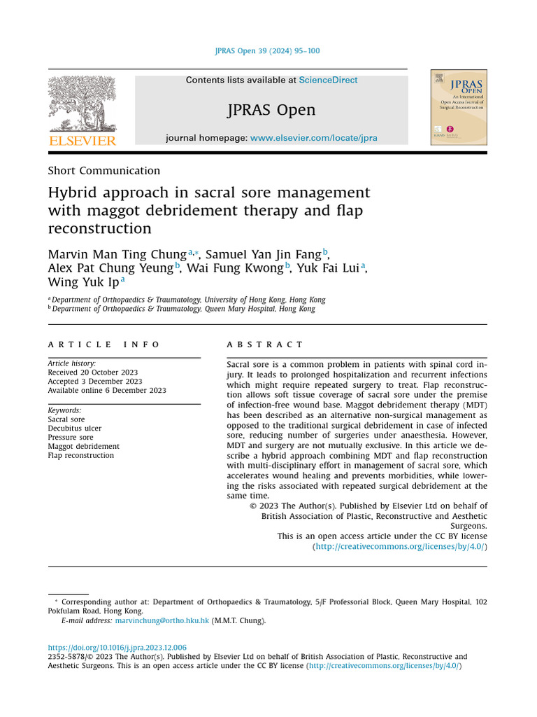 Hybrid-approach-in-sacral-sore-management-with-mag | PDF | Wound ...