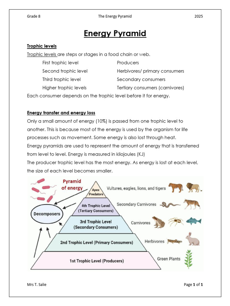 Energy Pyramid | PDF