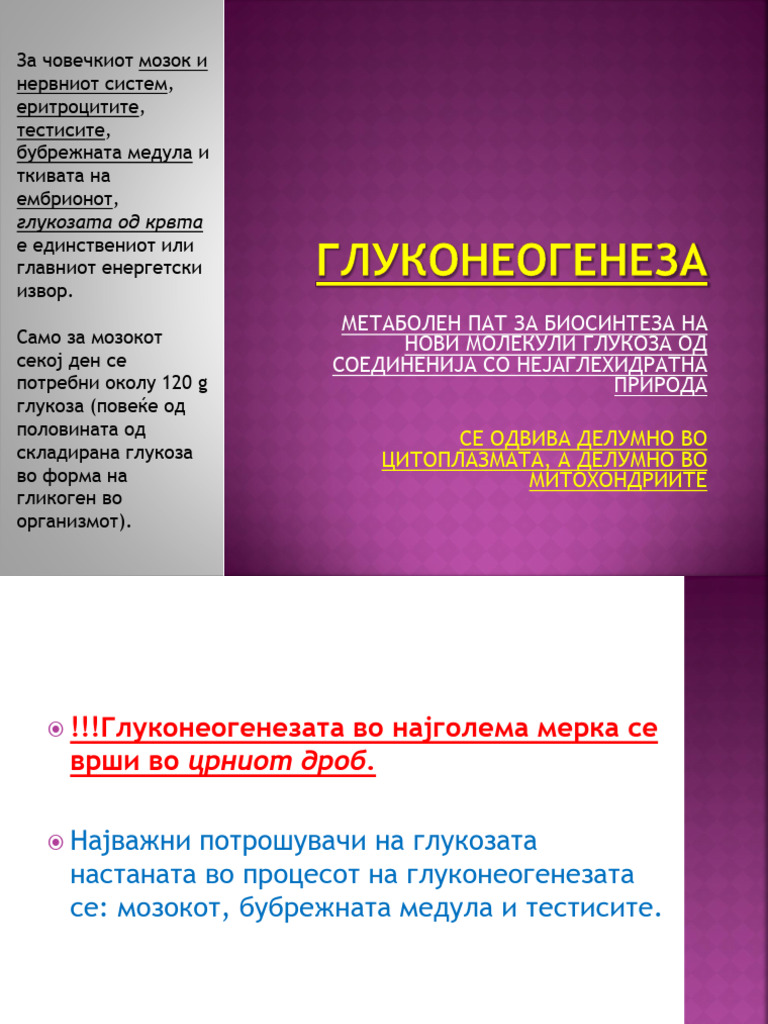 Glukoneogeneza I Pentozofosfaten Ciklus | PDF