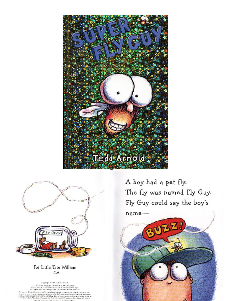 Super Fly Guy | PDF
