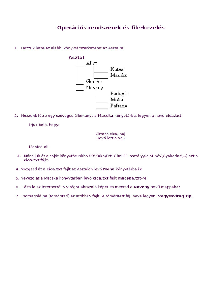 Operációs Rendszerek És File | PDF