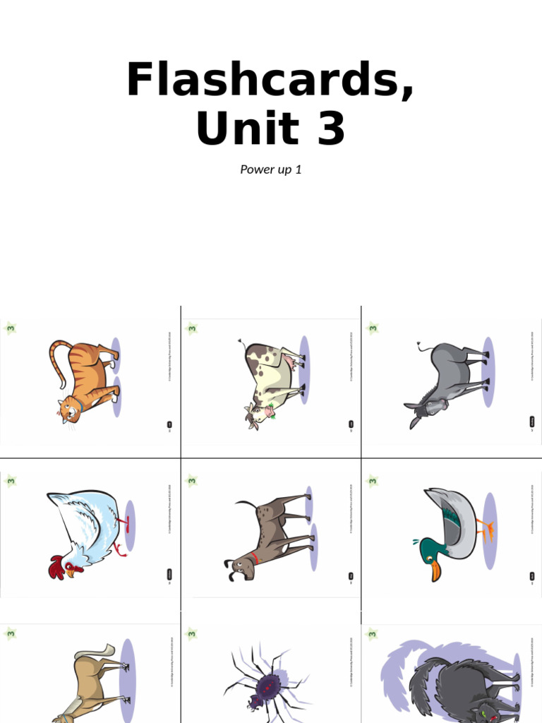 Power Up 1, Flashcards, Unit 3 | PDF