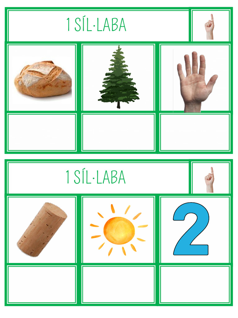 Dictat Mut PDF | PDF